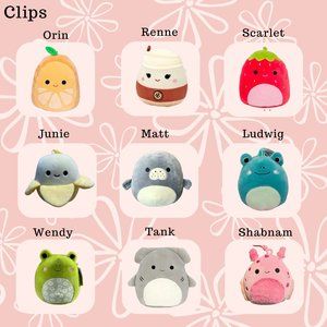 Toys | Do Not Buy Squishmallows Iso List | Poshmark